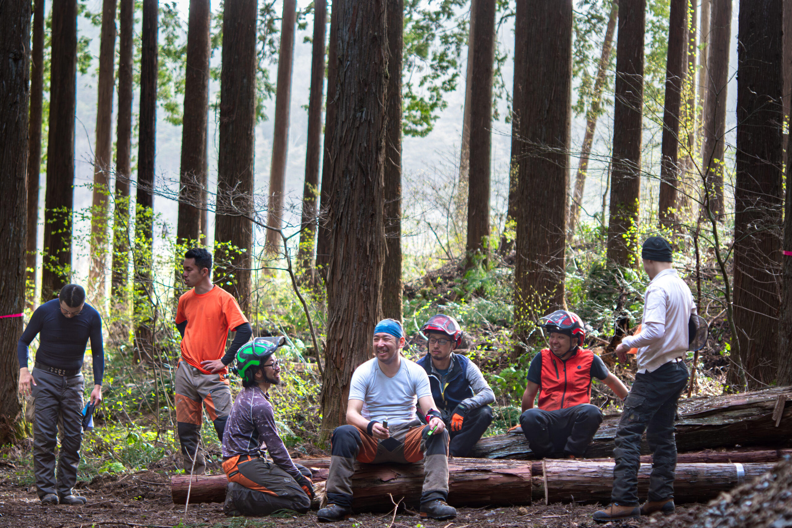 新しくネットメディアにて弊社について掲載していただきました。 - FOREST WORKER