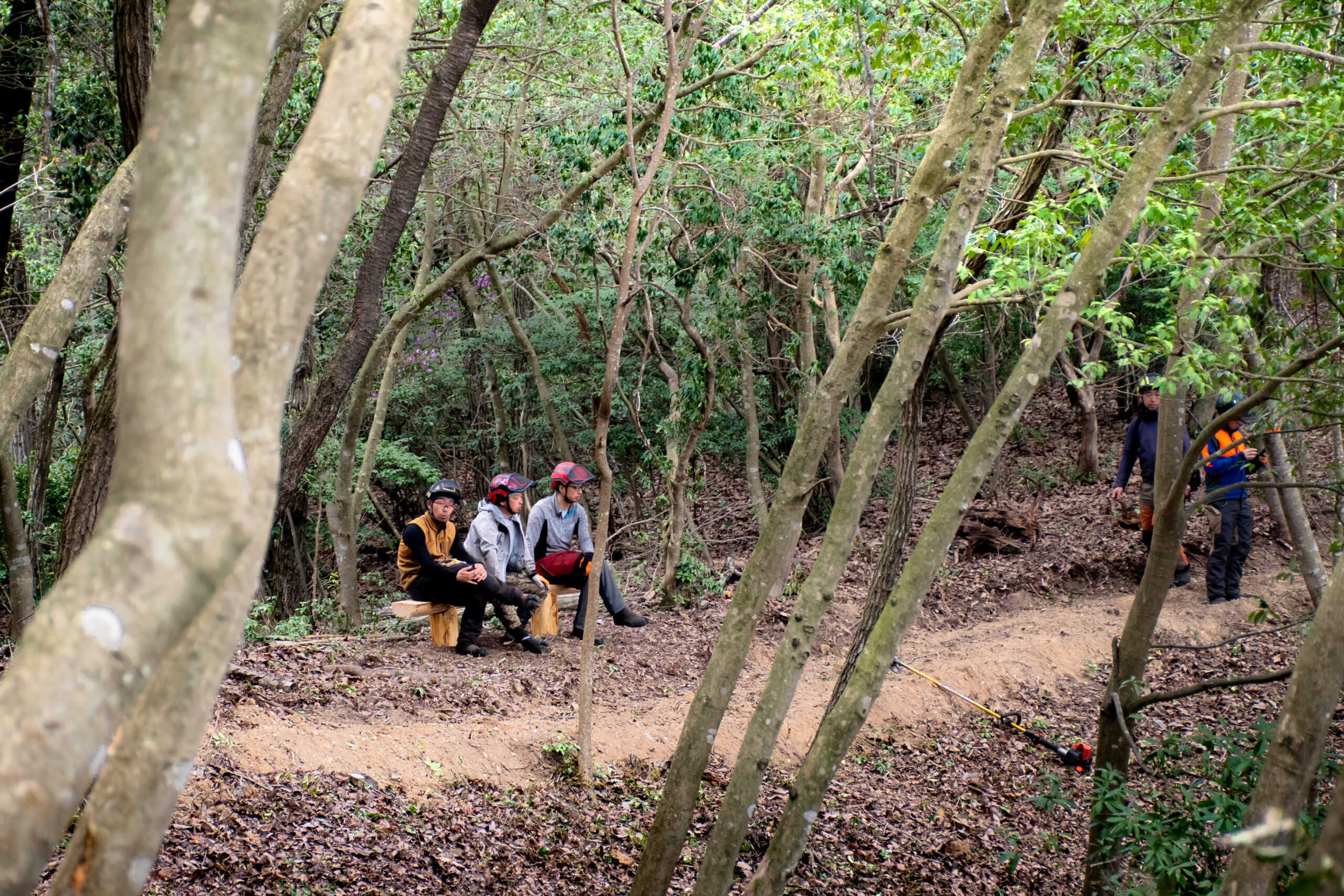 FOREST WORKER初!ベンチの制作と設置 - FOREST WORKER