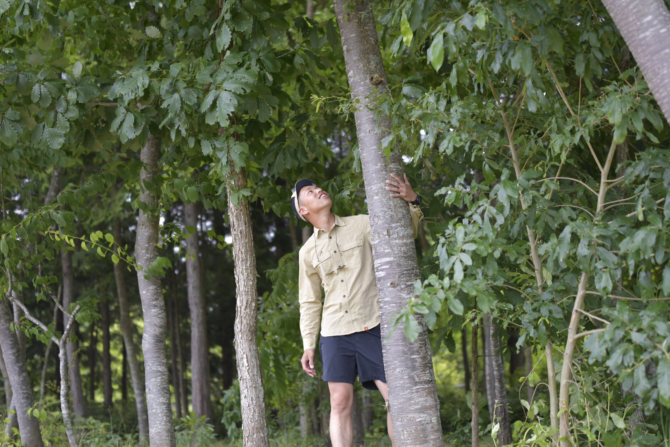 未利用木材を活用×自然の恵み～地元を味覚で楽しむ燻製！～ - FOREST WORKER